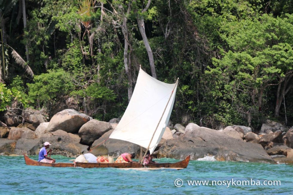 Pirogues - Traditional Sakalava dhows - Nosy Komba